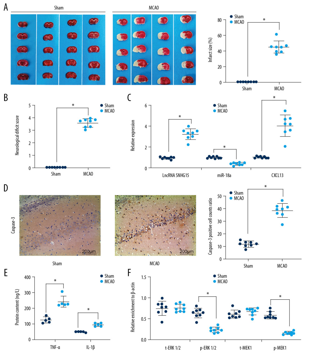 Medical Science Monitor | Promoting Role of Long Non-Coding RNA Small ...
