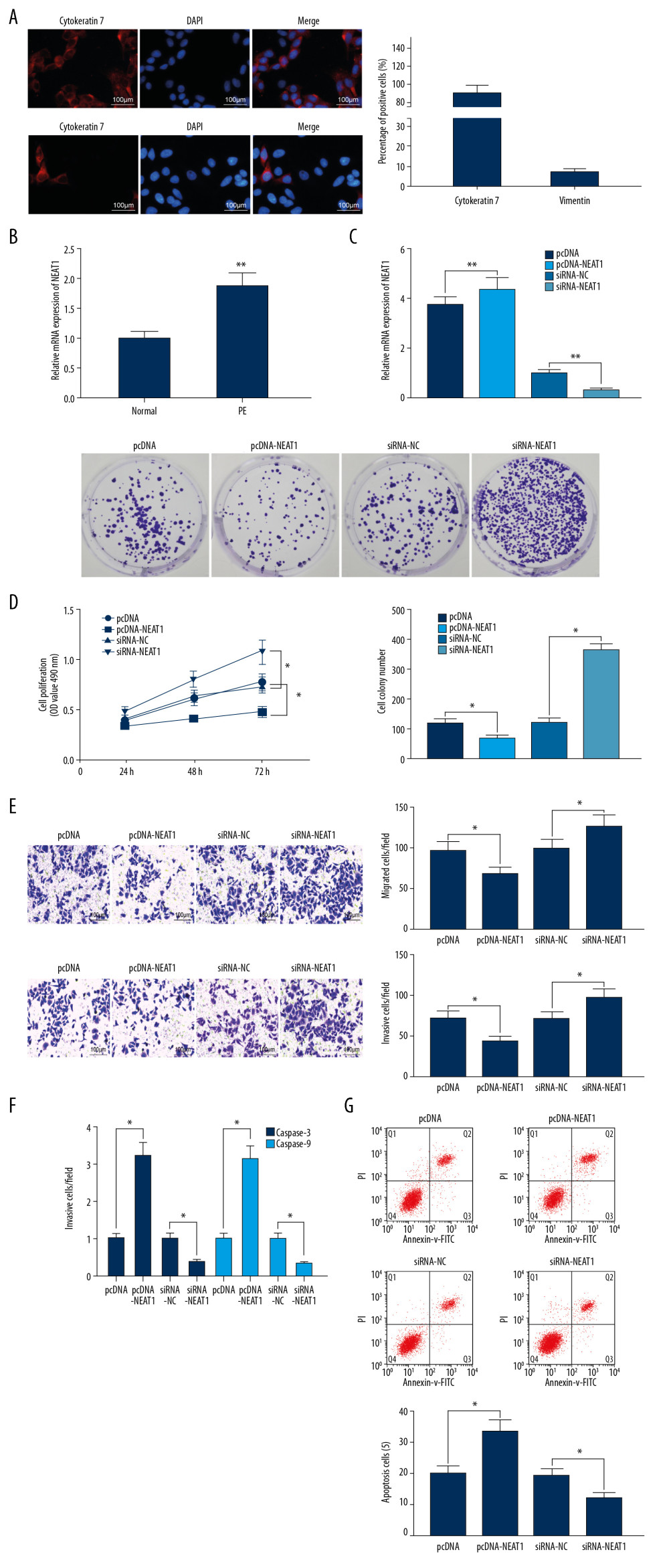 Medical Science Monitor | Long Non-Coding RNA Nuclear-Enriched Abundant ...