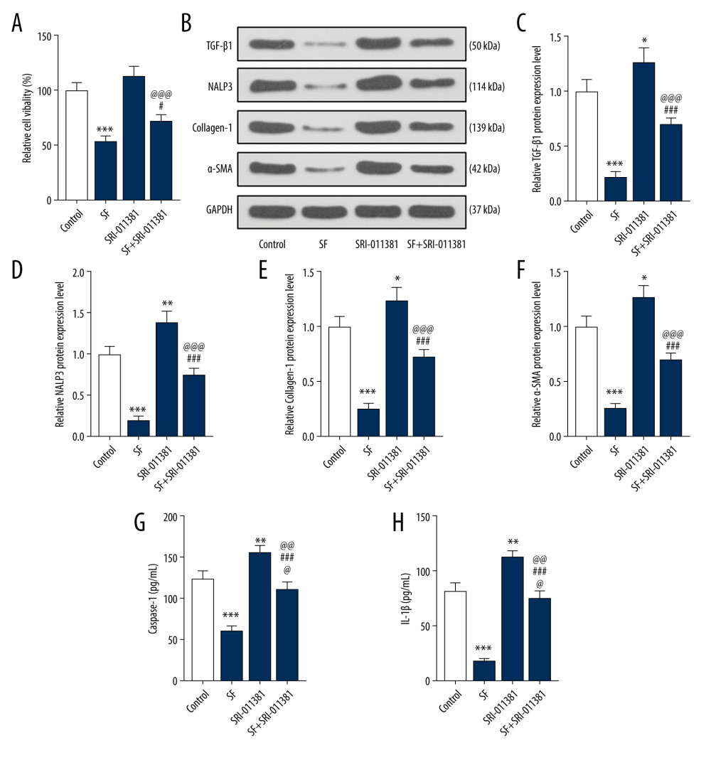 Medical Science Monitor | The Improvement Effect of Sodium Ferulate on ...