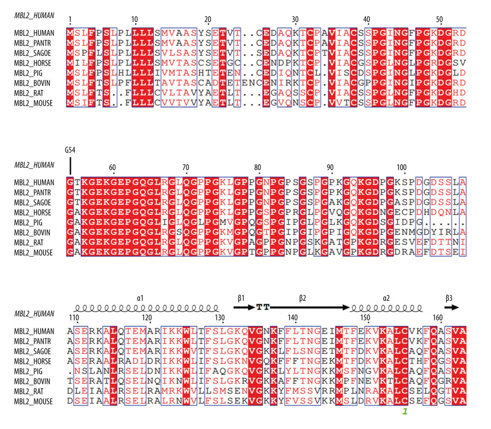 Medical Science Monitor Association Between Variants Of The Mannose