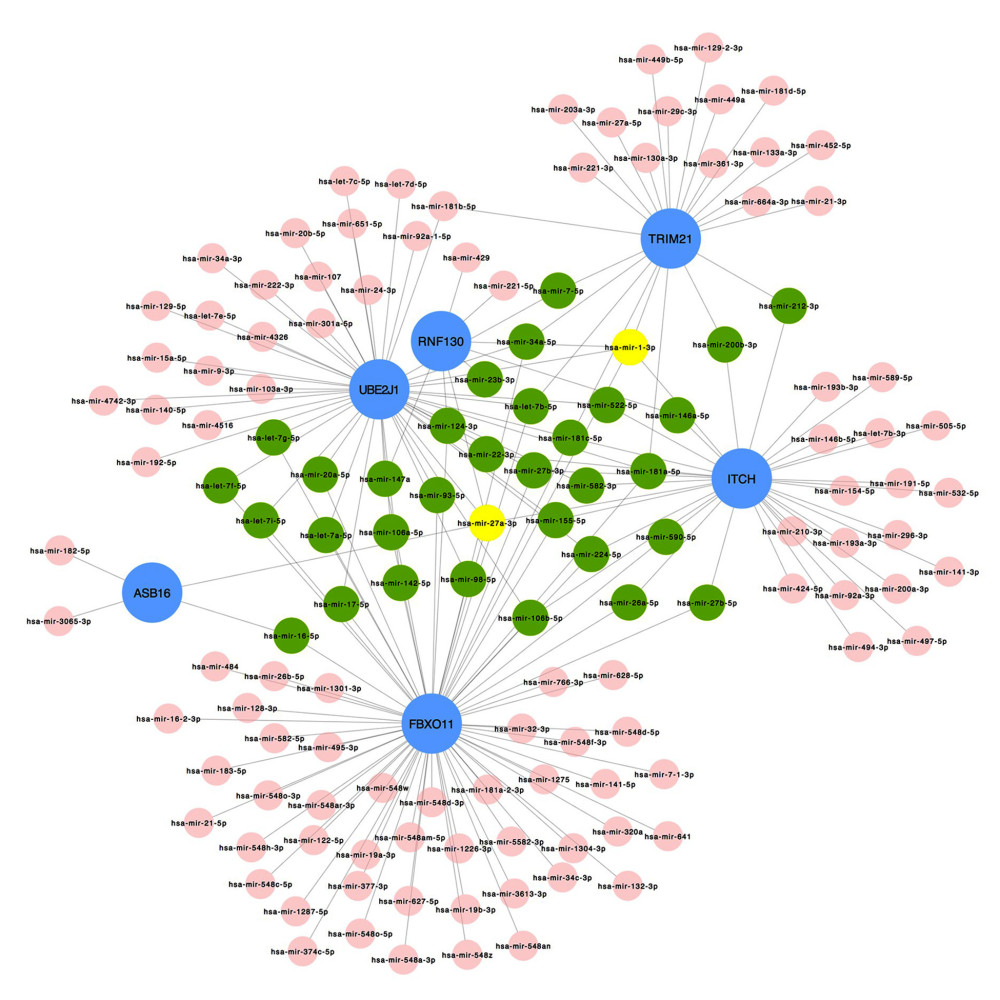 Medical Science Monitor | Transcriptome Analysis of Peripheral Blood ...