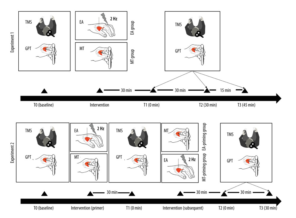 Medical Science Monitor | Enhancement of Motor Learning and ...